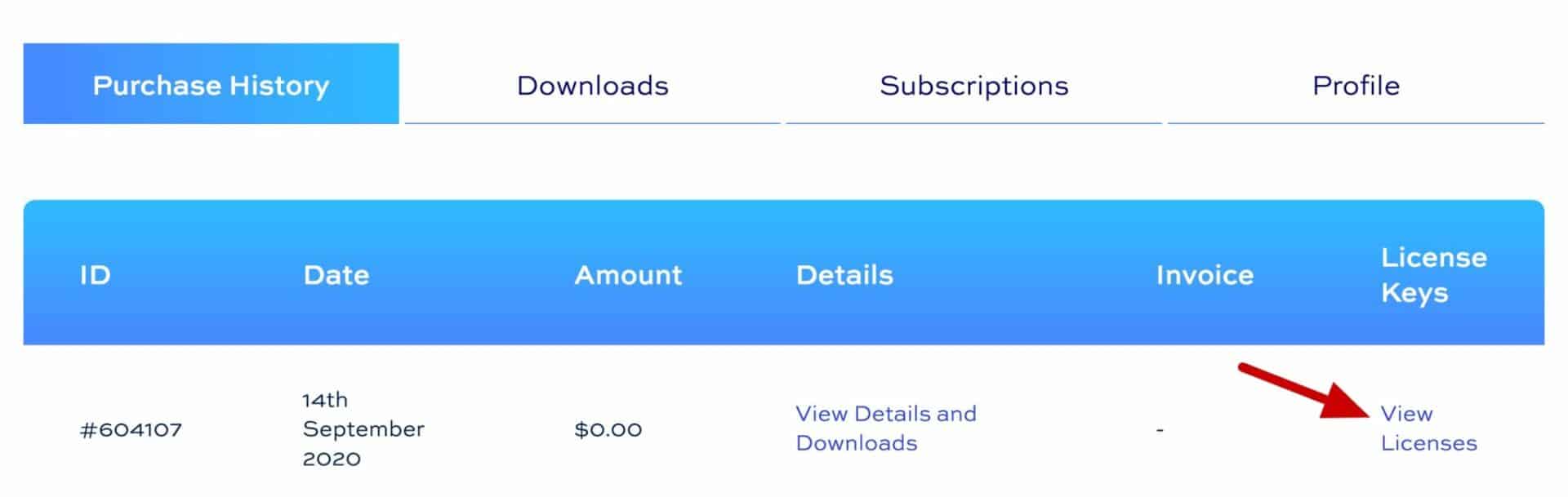 How to upgrade your licence - Plugin Republic