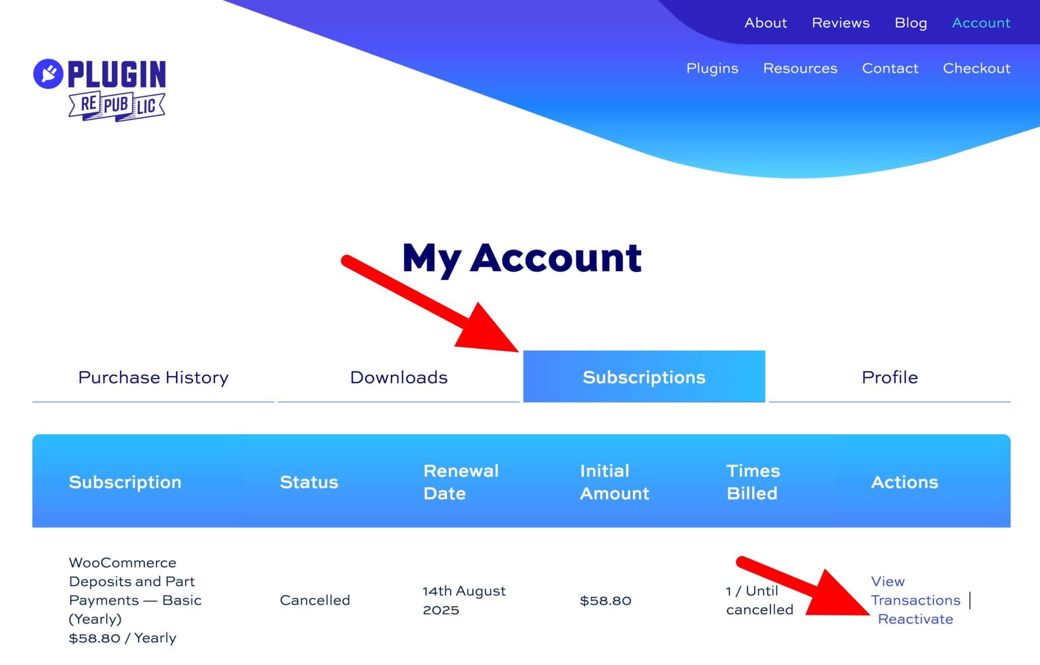How to reactivate your subscription - Plugin Republic